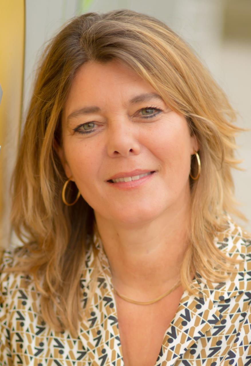 linde > School > Het Team